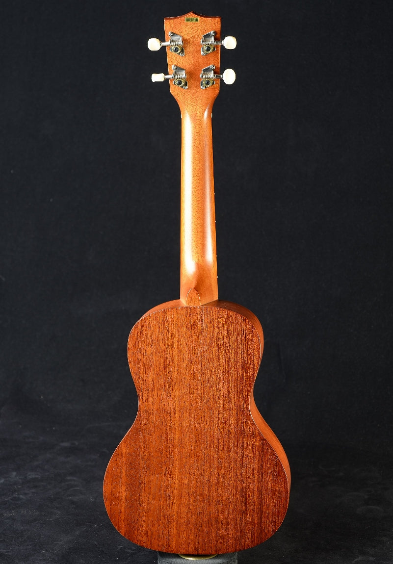 Kala Surf Series Concert Ukulele - Surf's Up – Harry's Guitar Shop